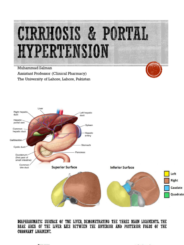 Cirrhosis Portal Hypertension 1 Pdf