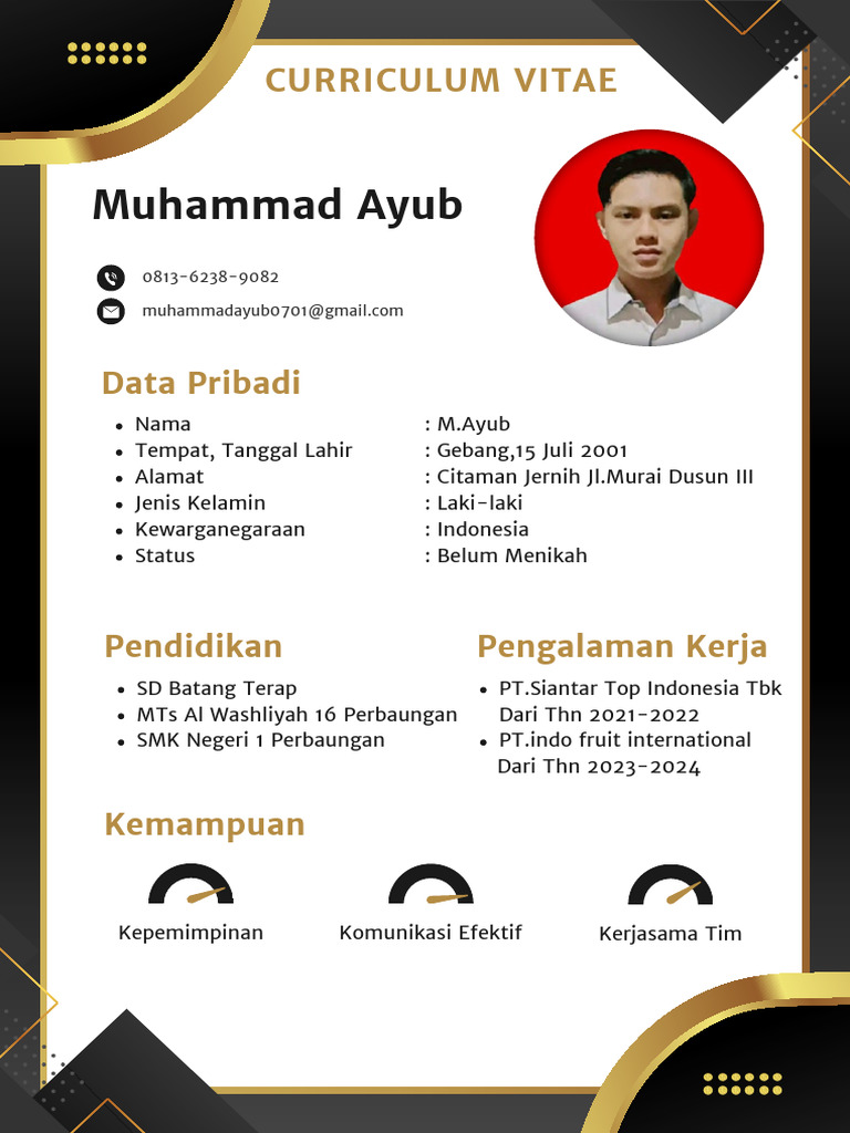 Curriculum Vitae M.ayub | PDF