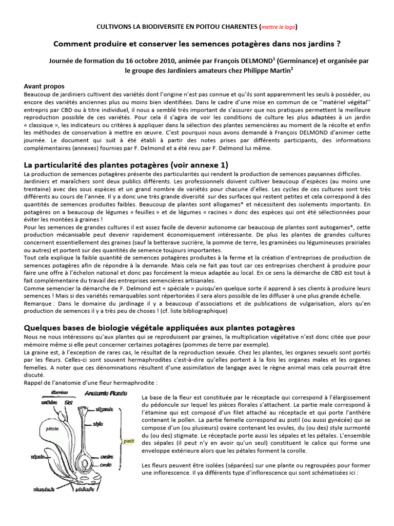Comment Produire Et Conserver Les Semences Potagères | PDF