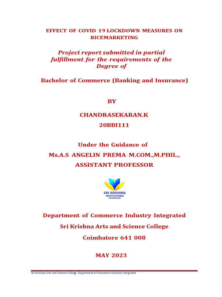 20bbi111 Chandru Final Report | PDF
