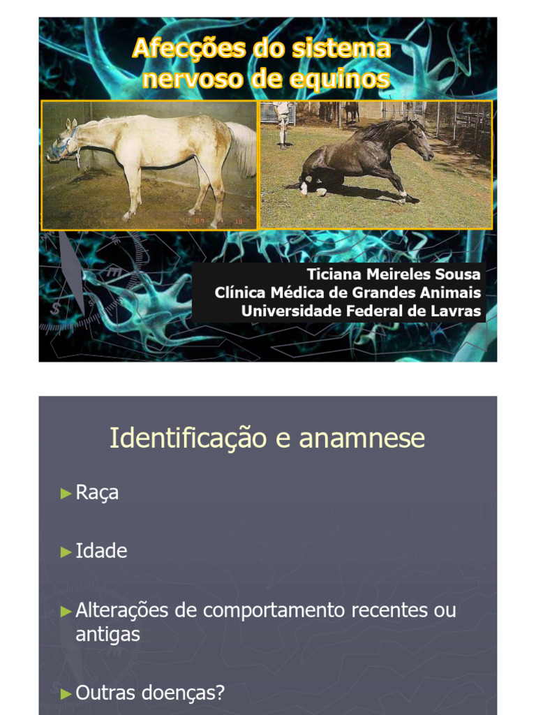 Aula Neurológico de Equinos | PDF