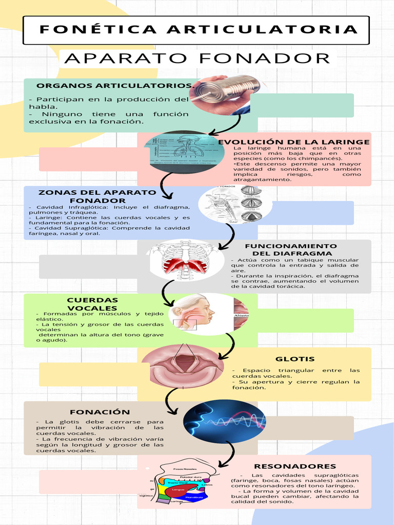 Infografia Fonética | PDF