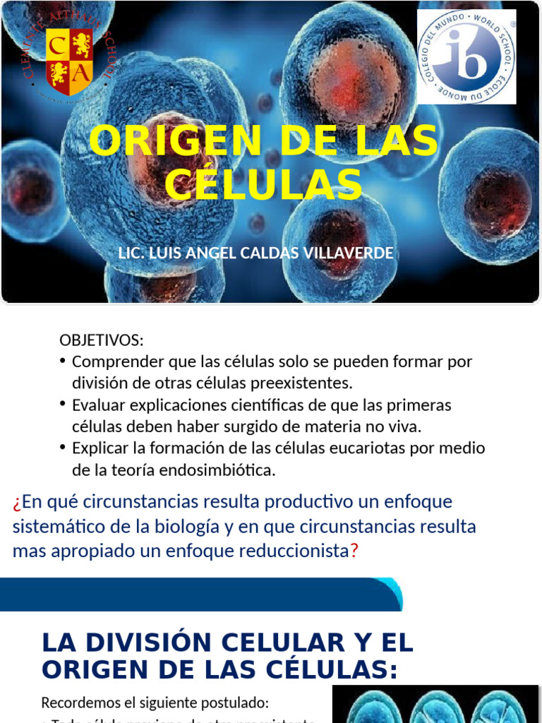 T7 - Origen de Las Células | PDF