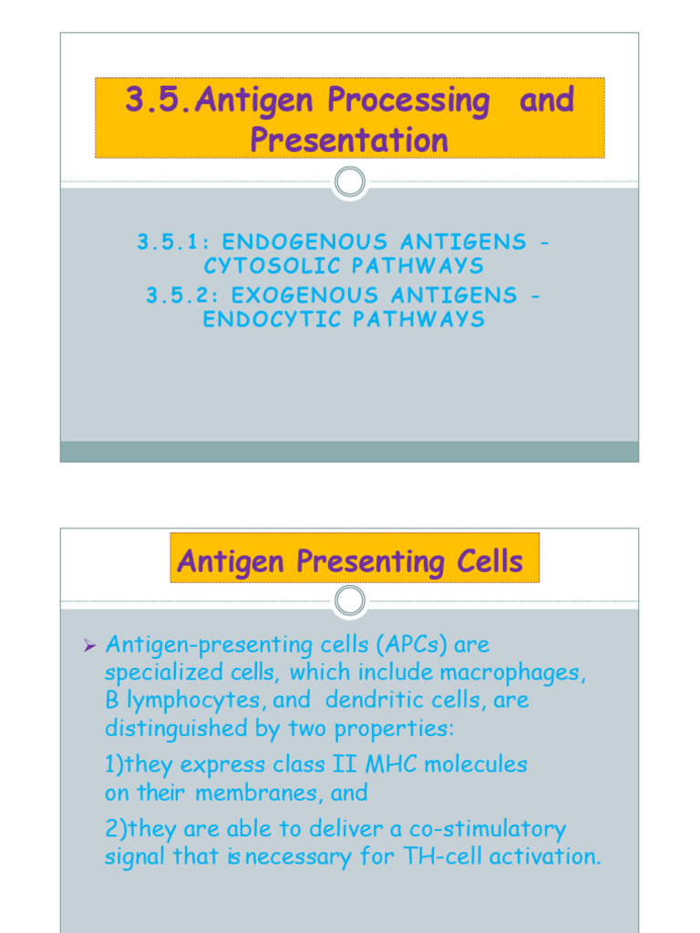 3.5 Antigen Processing and Presentation | PDF