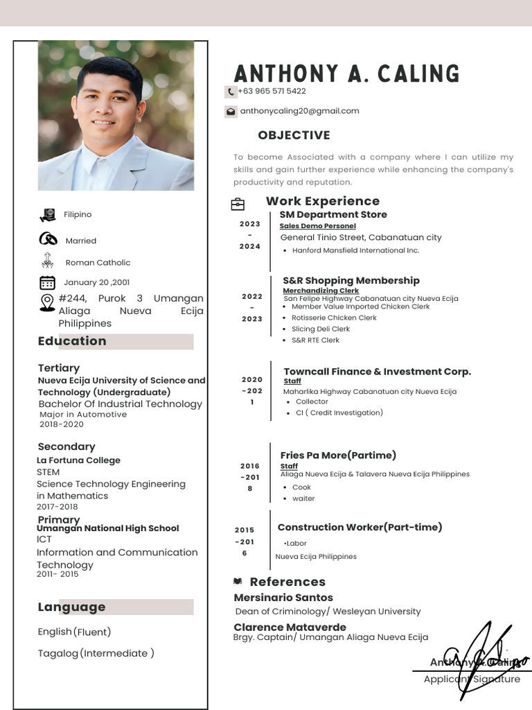 Resume Application For Abroad | PDF