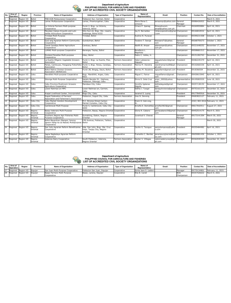 Region VII Central Visayas | PDF
