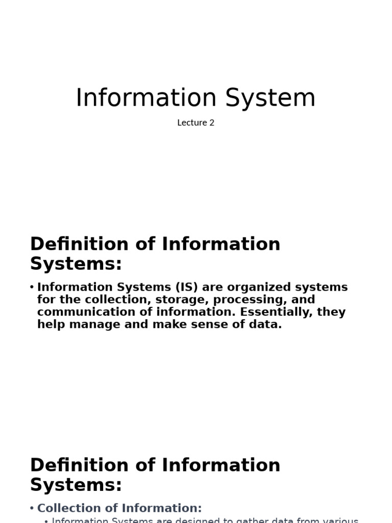 Lec 2 Information System | PDF