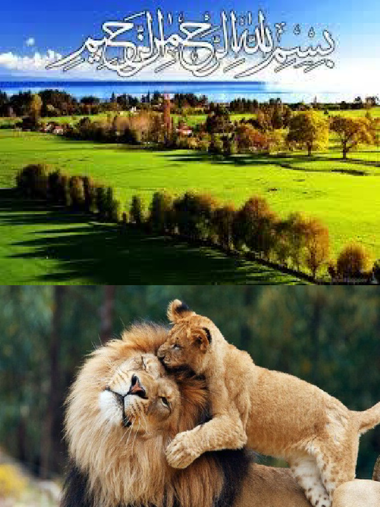 16-Wildlife-Concept and Principles of WL MGT | PDF | Habitat | Wildlife