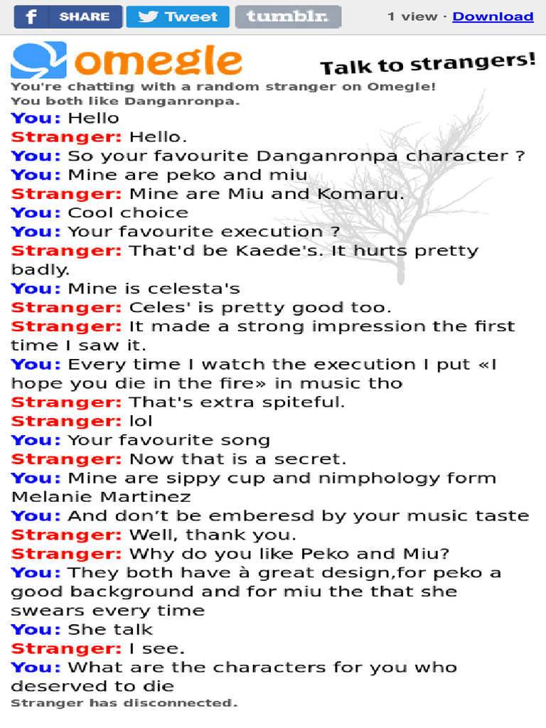 Omegle Chat Log | PDF