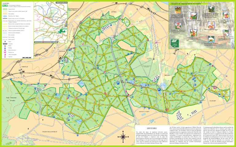 Foret Plan | PDF