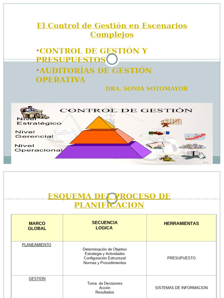 Sistemas de Control de Gestion Gerencial | PDF