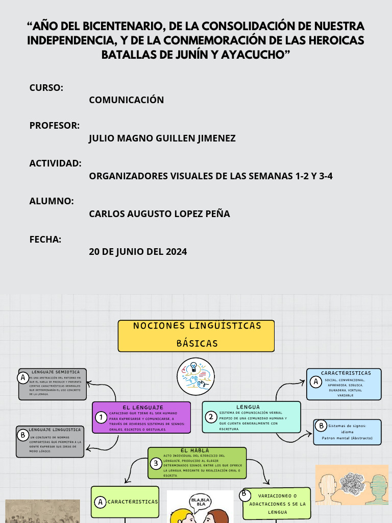 ORGANIZADORES VISUALES SEMANA 1-2 y 3-4 | PDF