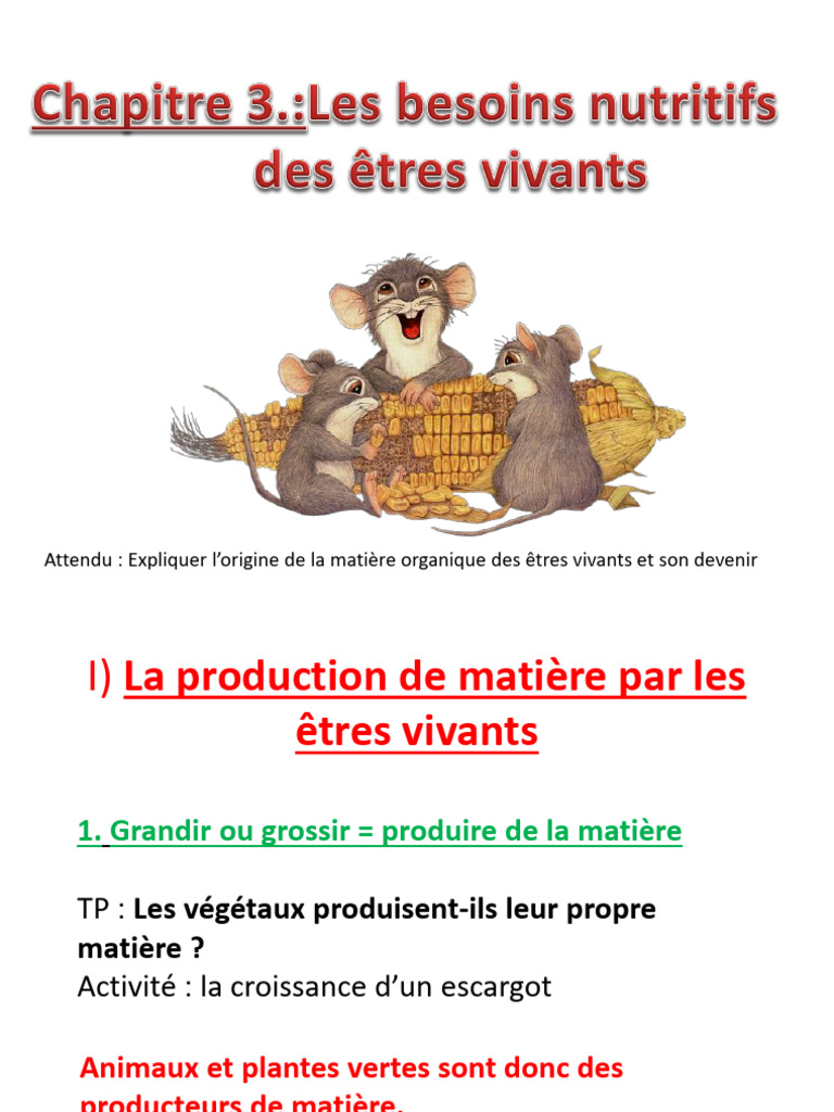 Ch3les Besoins Nutritifs Des Etres Vivants | PDF