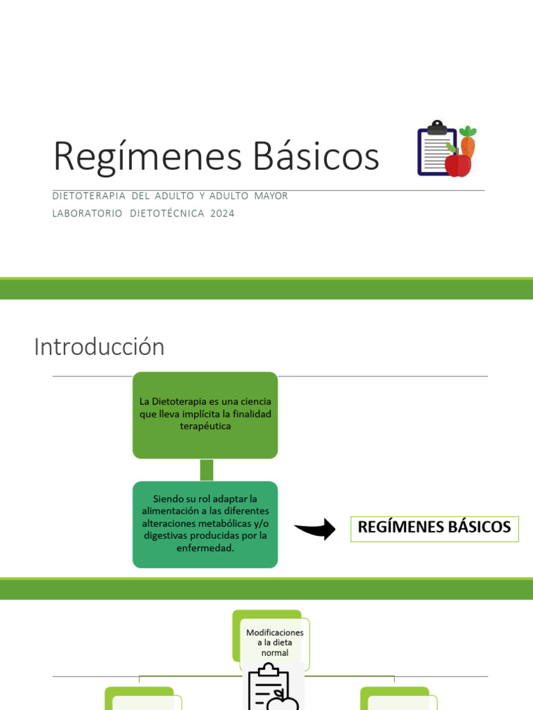 Regímenes Básicos 2024-2 | PDF