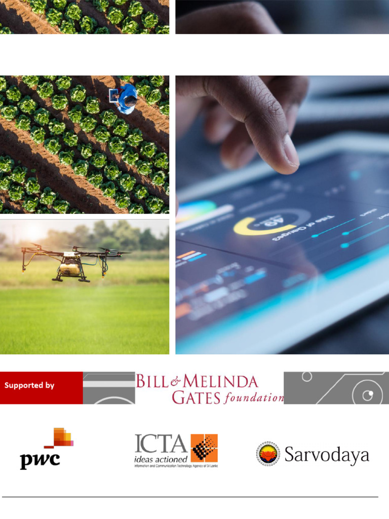 Final - IDAT Strategy - Abridged Version - English | PDF