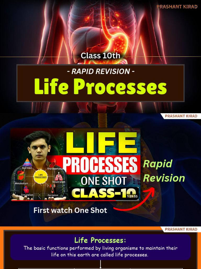 Rapid Revision - Life Processes (Prashant Kirad) | PDF