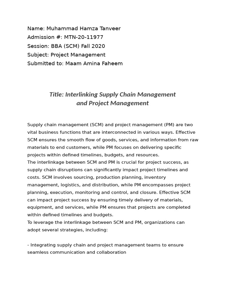 Hamza Tanveer PM Assignment | PDF