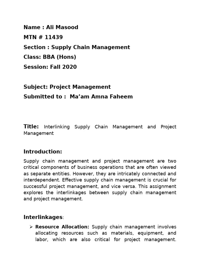 Project Management Assignment (Ali Masood) | PDF