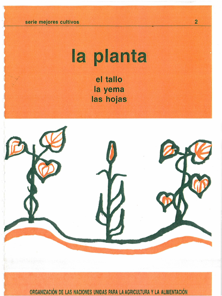 2 La Planta 2 | PDF