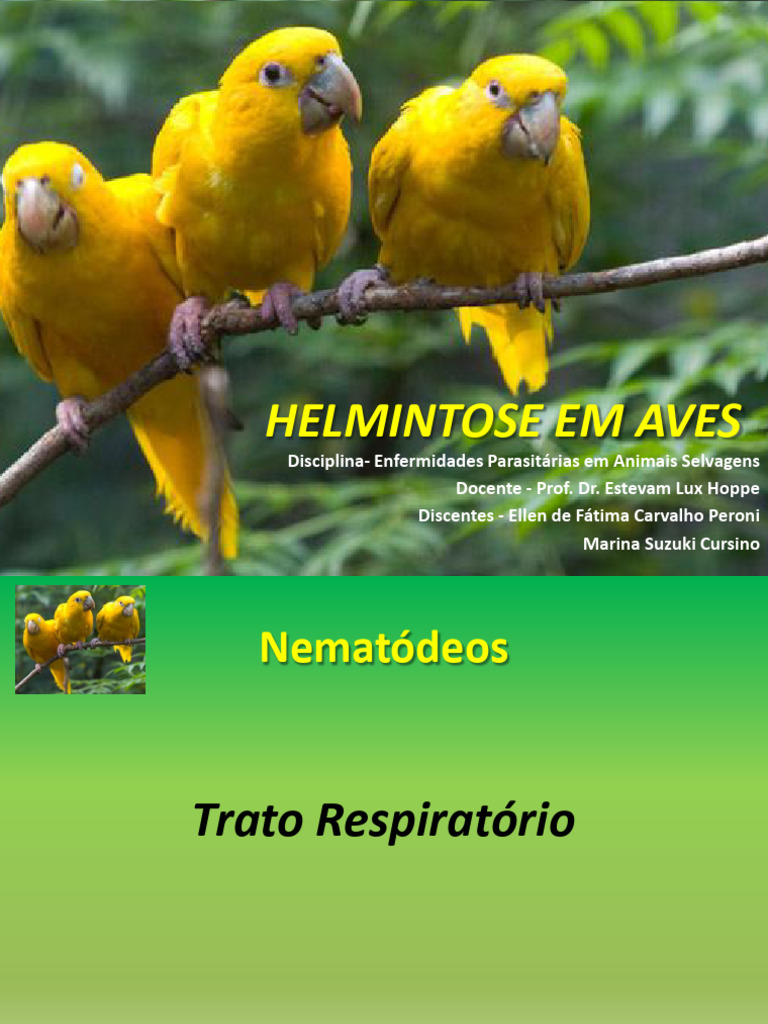 Helmintos de Aves | PDF
