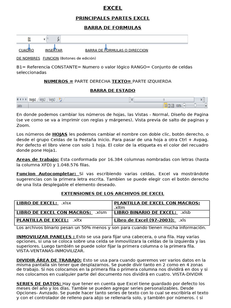 TEMA 8 EXCEL Nuevo | PDF