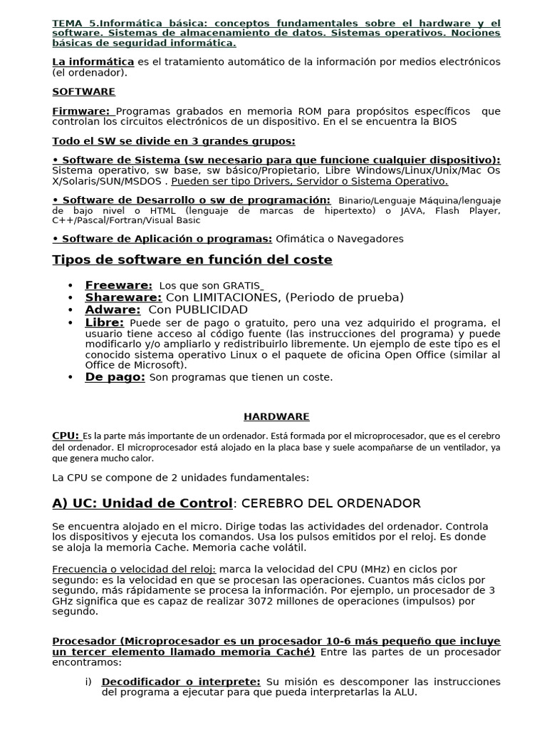 TEMA 5 Informatica Basica NUEVO RESUMEN | PDF