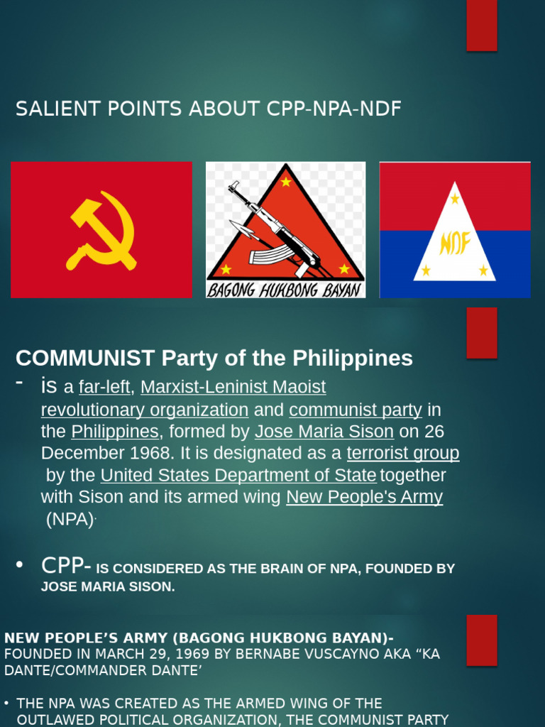Discussion Forthe Salient Points in Cpp-Npa-Ndf | PDF