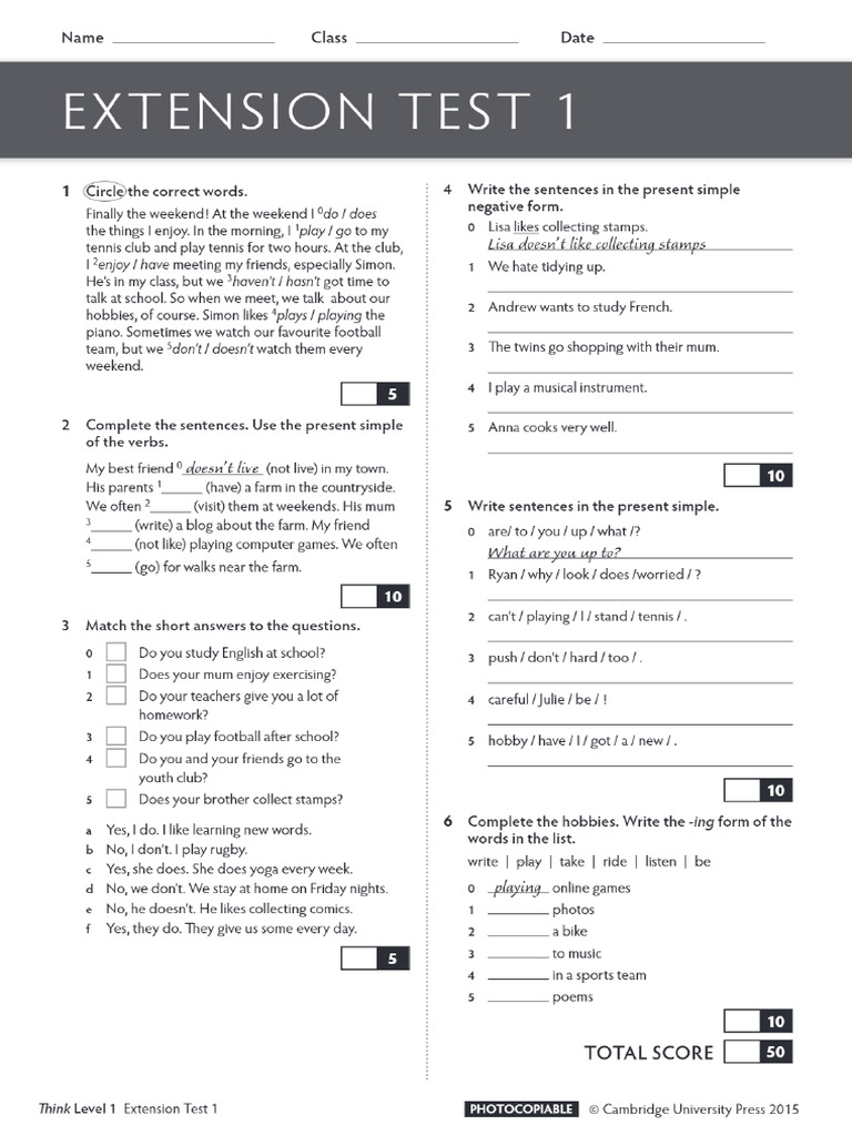Unit 1 Extension Test | PDF