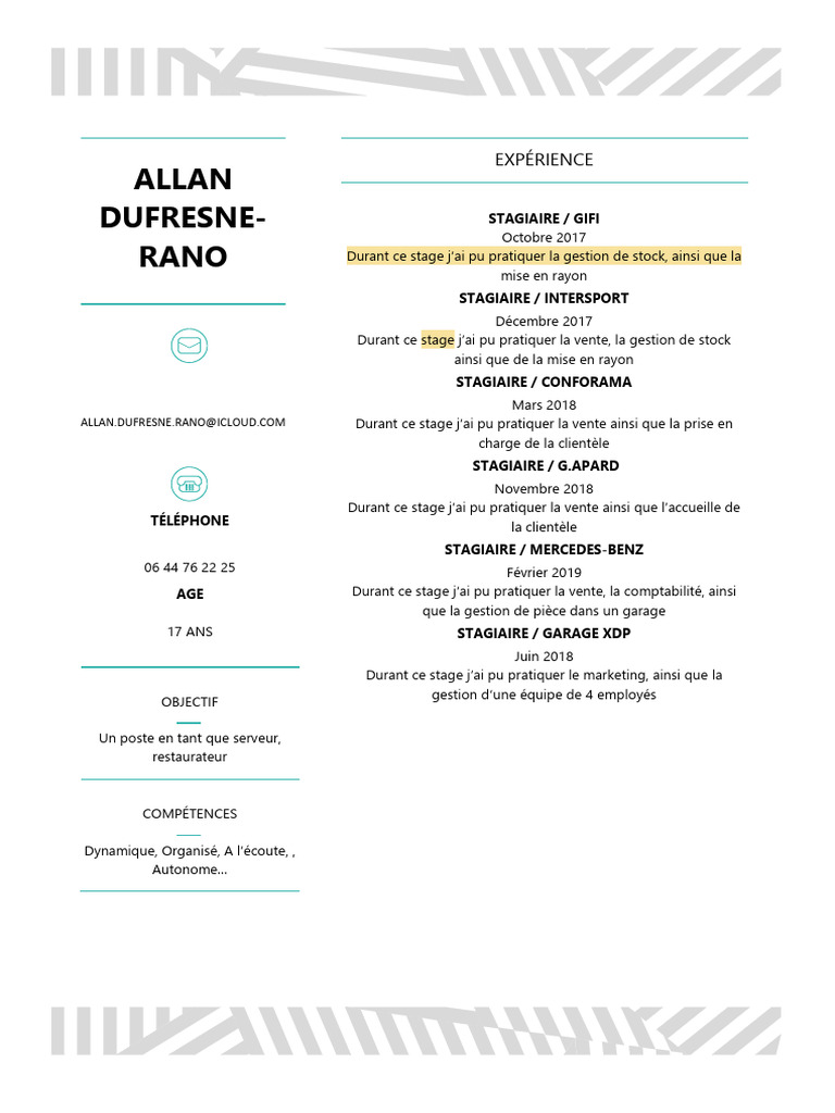 CV Allan | PDF