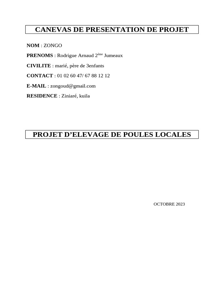 Canevas de Presentation de Projet | PDF
