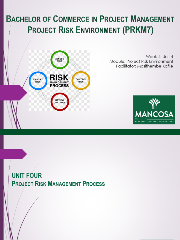 4 BCOM PM - Project Risk Environment | PDF