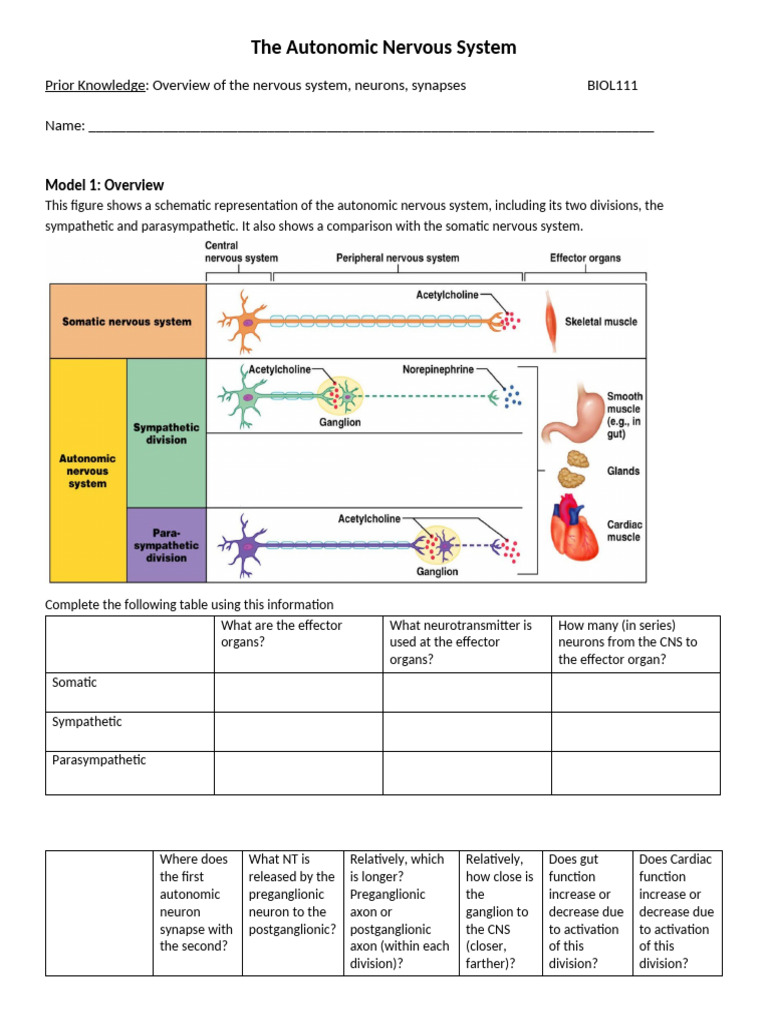 Autonomics | PDF