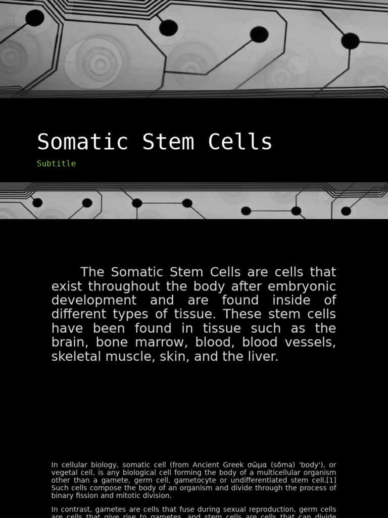 Somatic Stem Cells and Bioethics of Gene Therapy | PDF