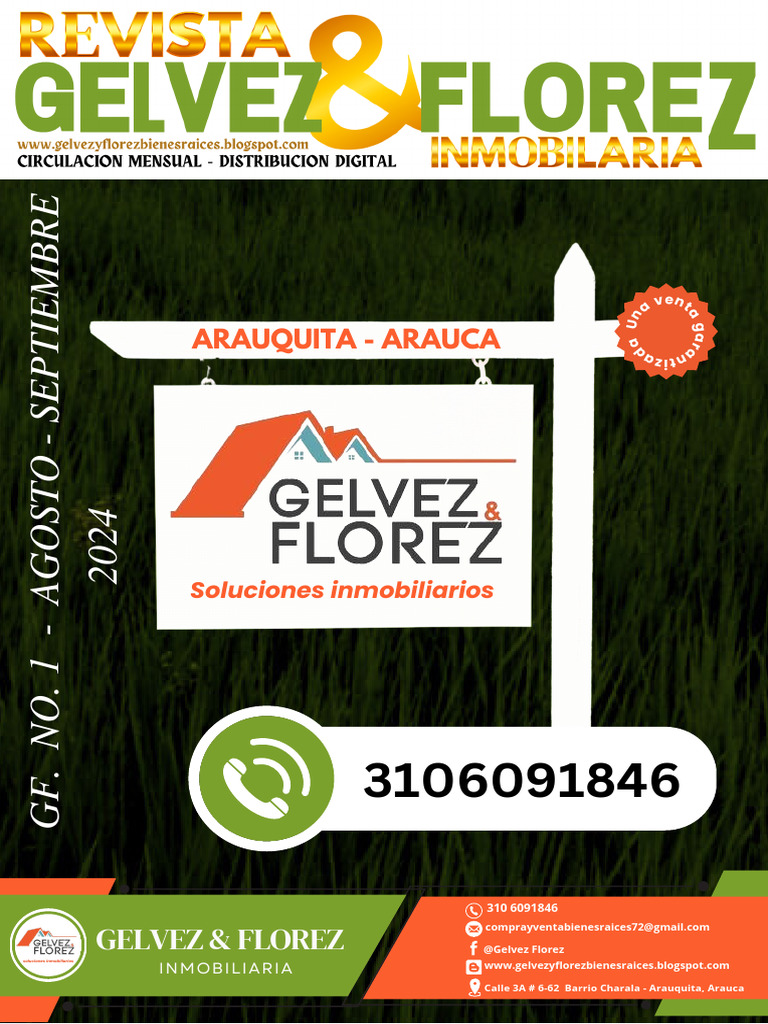 Primera Revista Gelvez y Florez PDF | PDF