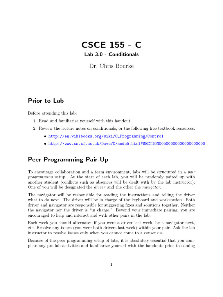 Lab 3 - Conditionals - CSCE 155E | PDF