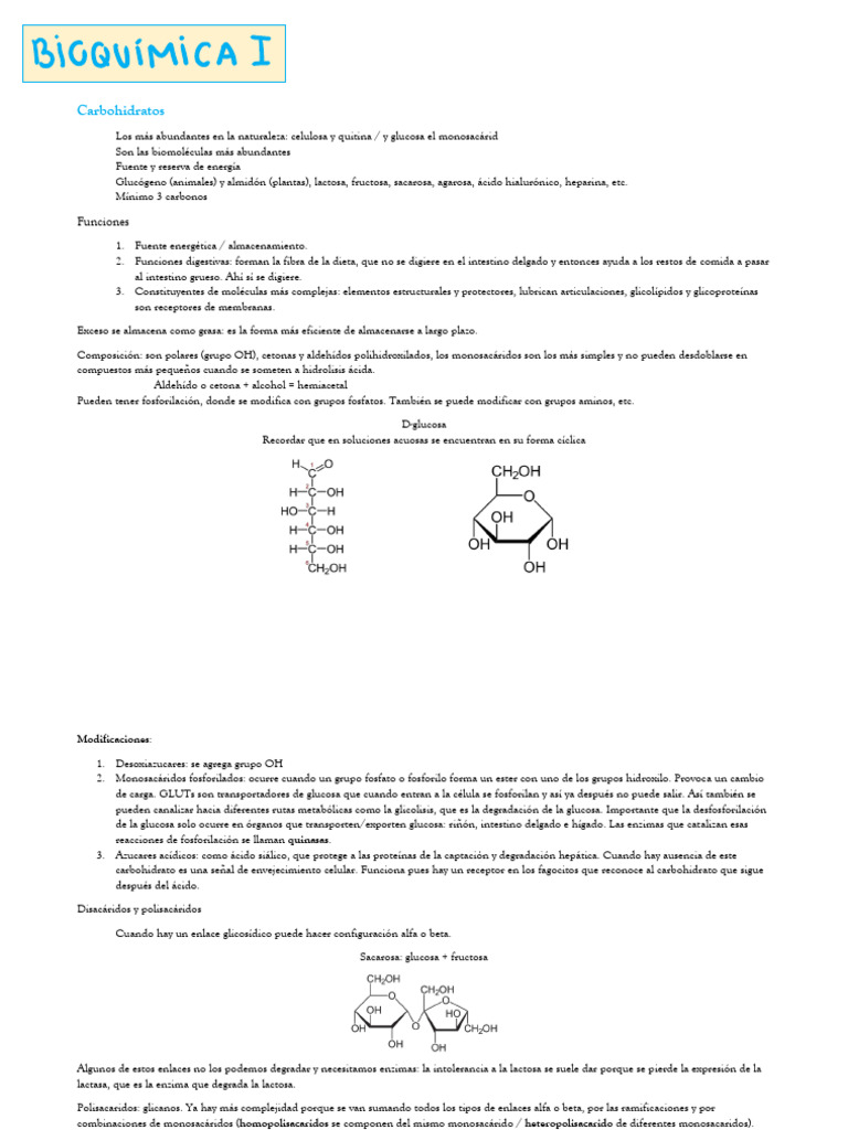 Bioqui I | PDF | Biomolecules | Biochemistry