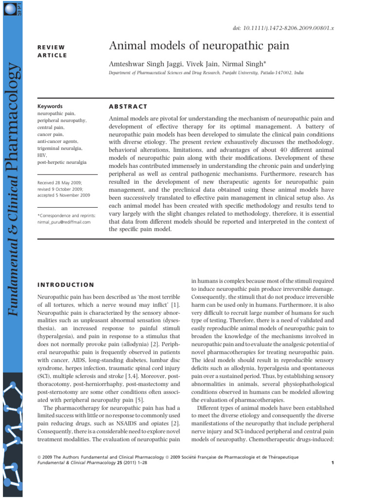 Animal Models of Neuropathic Pain | PDF