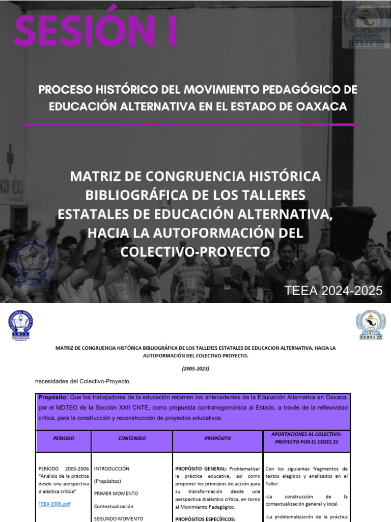 Matriz de Congruencia Cedes 2024 | PDF