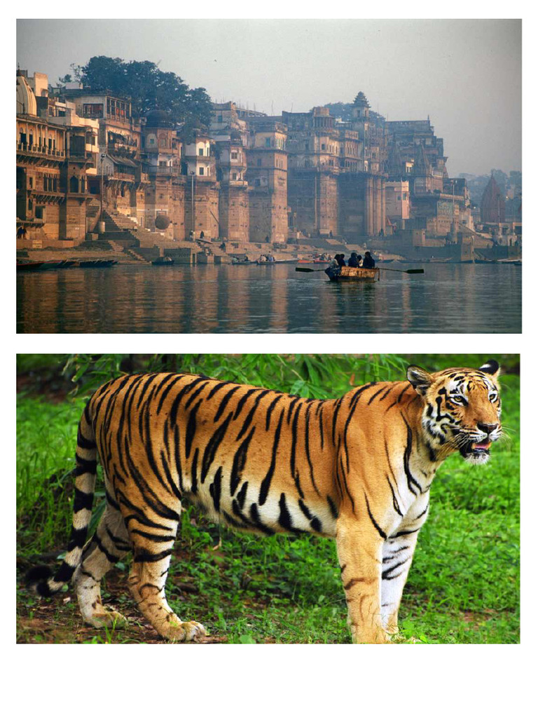 National Symbols | PDF
