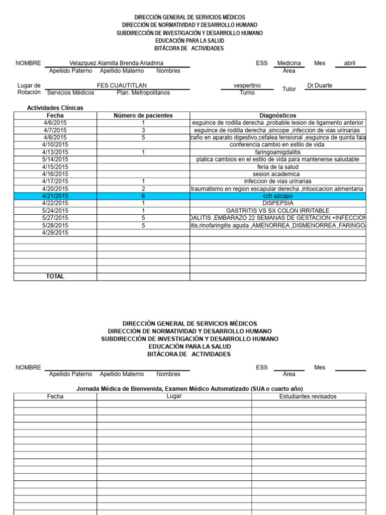 Formato Bitacora e | PDF