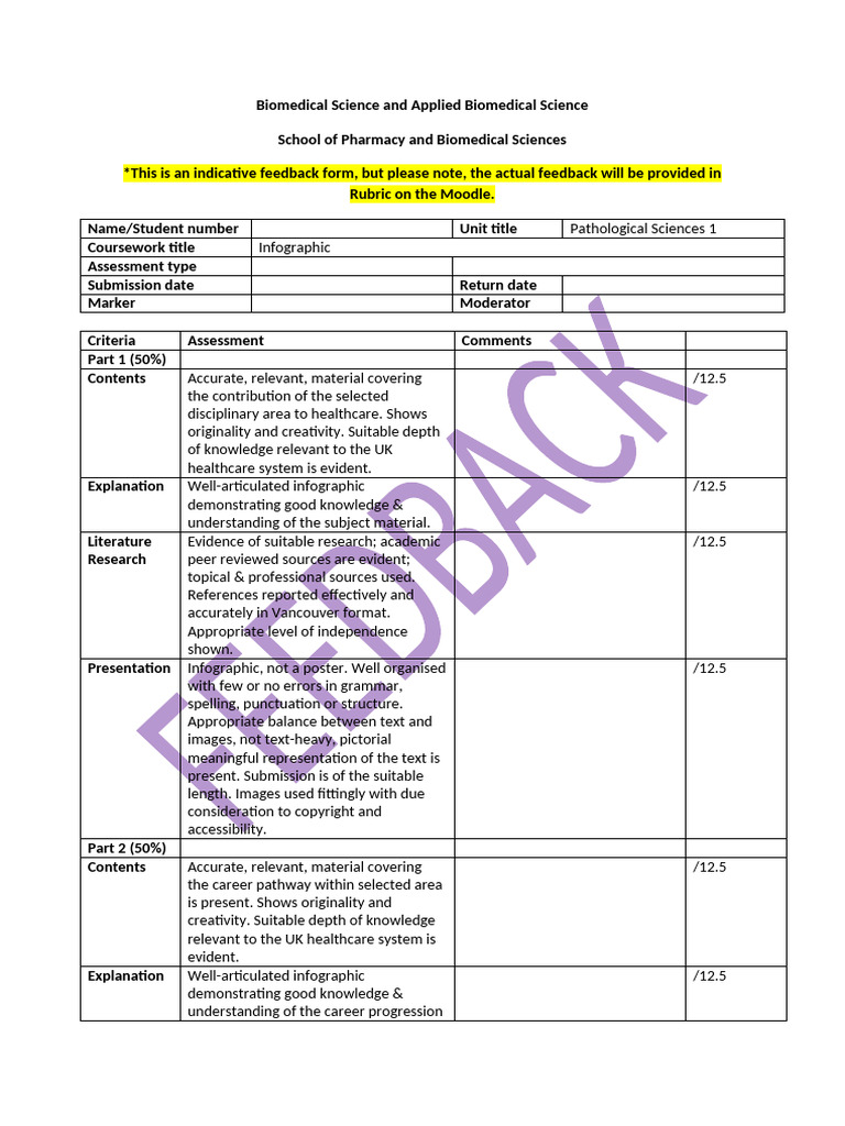 Indicative Infographic Marking Scheme 2023-24 | PDF | Educational Assessment | Cognition