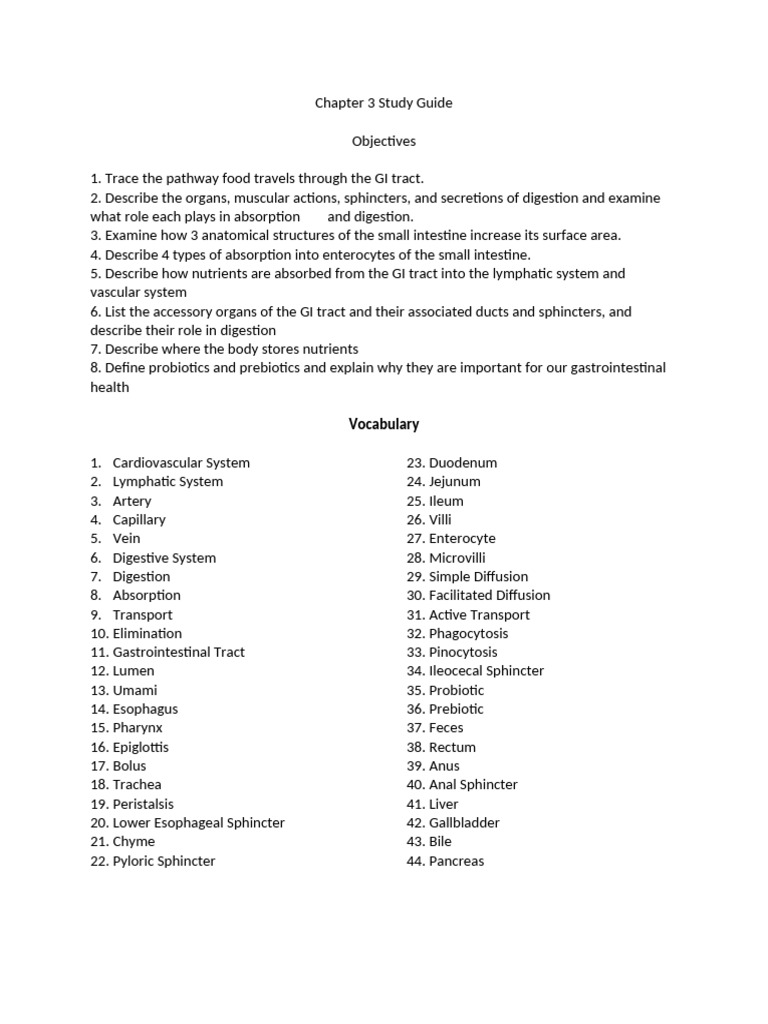 Chapter 3 Study Guide | PDF