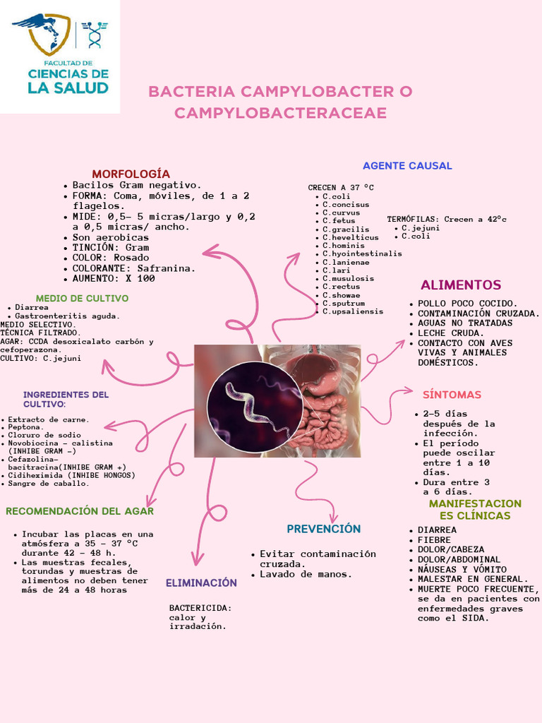CAMPYLOBACTER | PDF