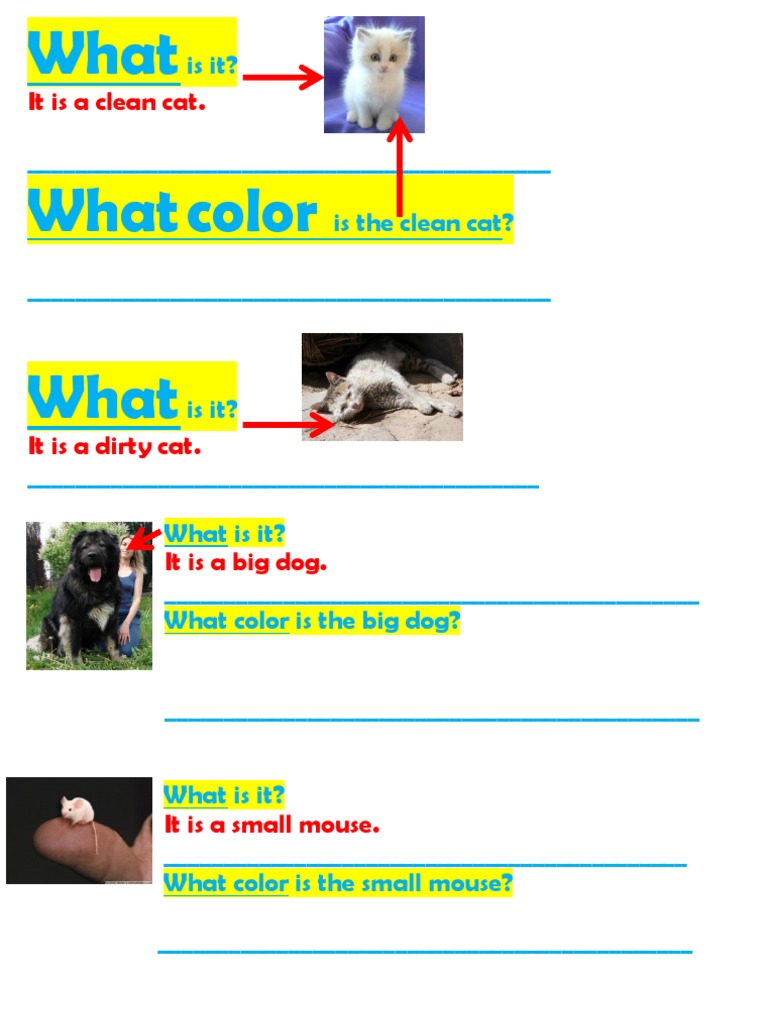Clean and Dirty Pets Overview | PDF | Home & Garden