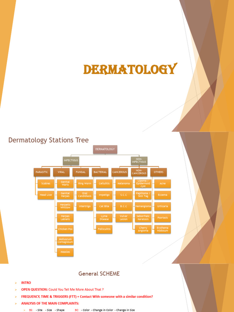 12 - Dermatology 2 | PDF