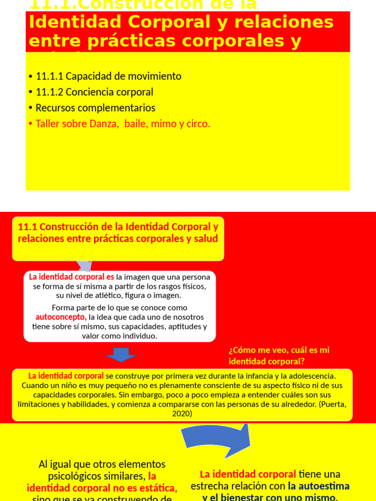 Tema 11 Identidad Corporal | PDF