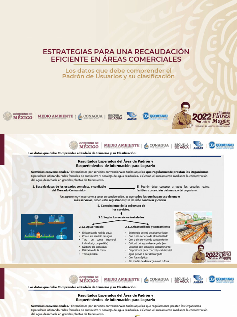 Los Datos Que Debe Comprender El Padron | PDF