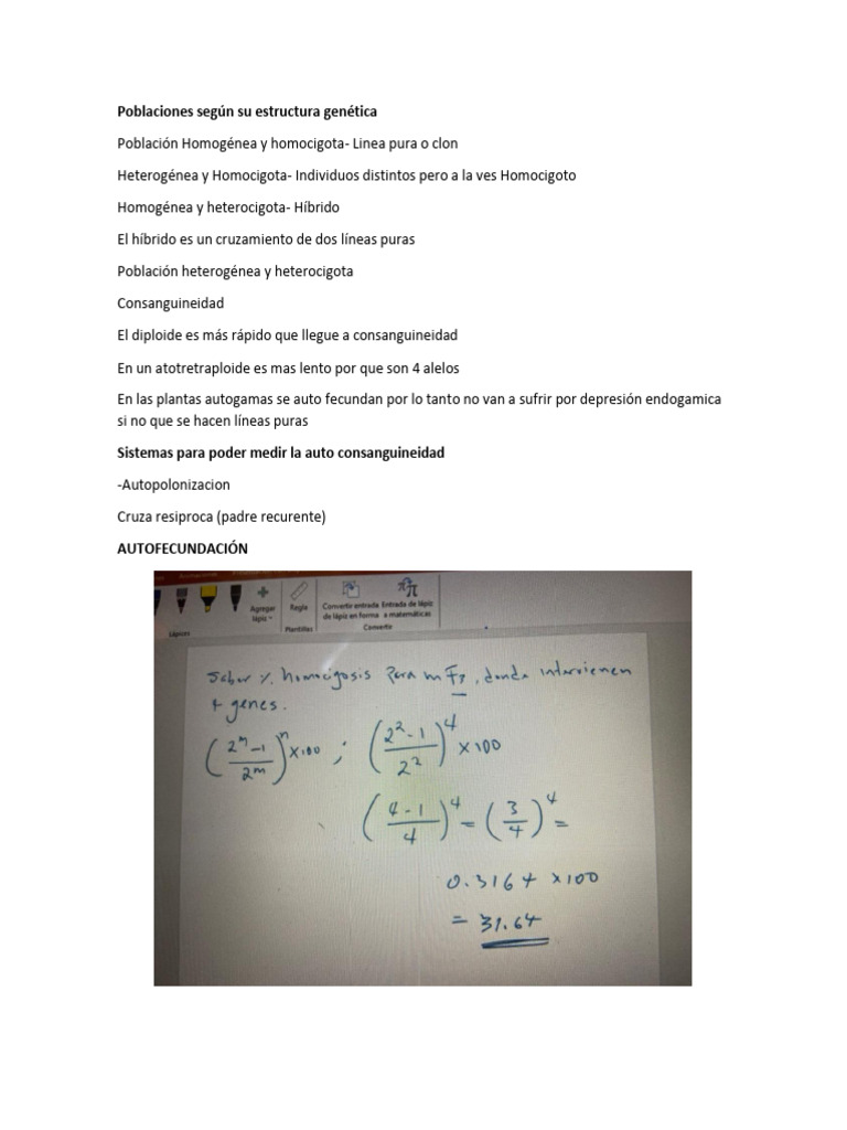 Exmen Final Fito | PDF