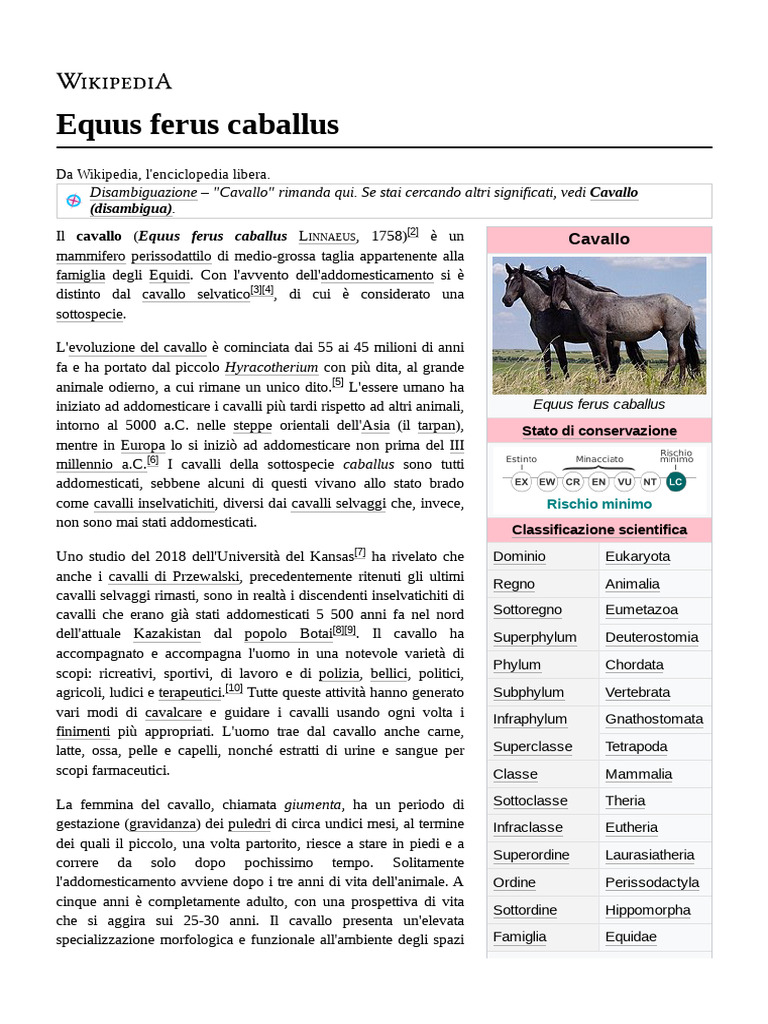 Equus Ferus Caballus | PDF