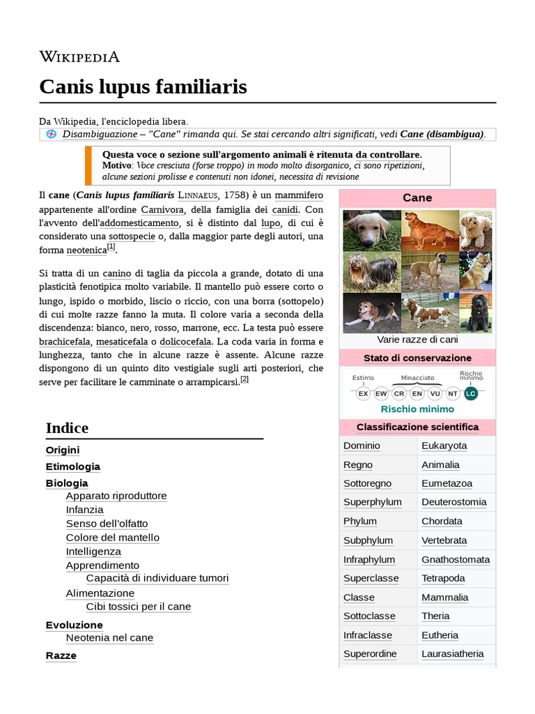 Canis Lupus Familiaris | PDF